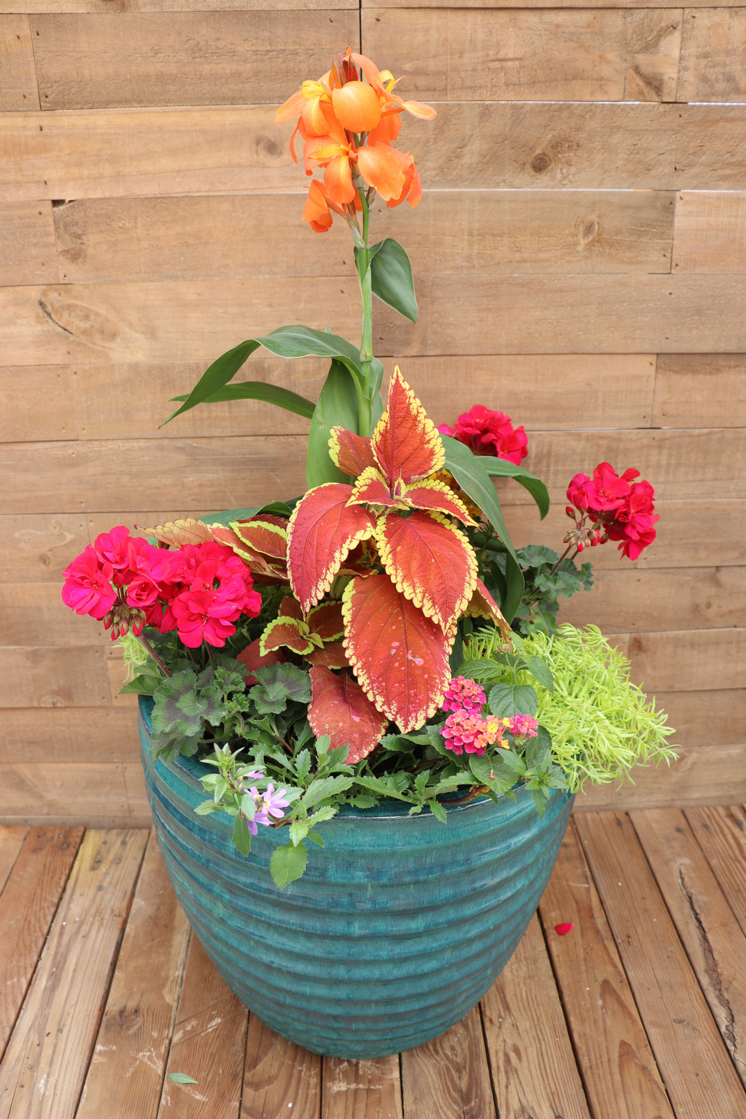 Plants – Perfect Pots