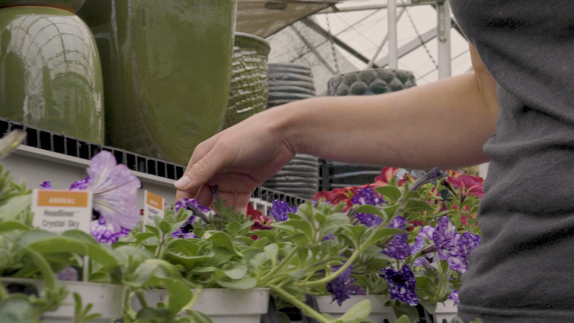 Seasonal Planting Service – Perfect Pots